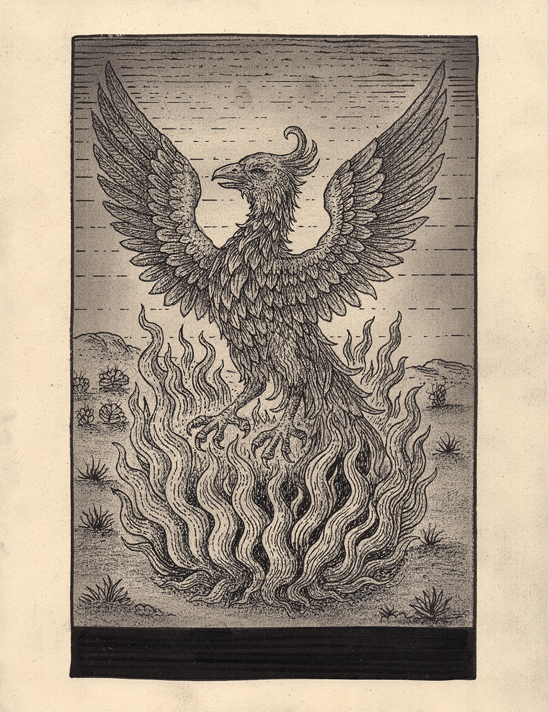 Rebirth – Daniel Martin Diaz