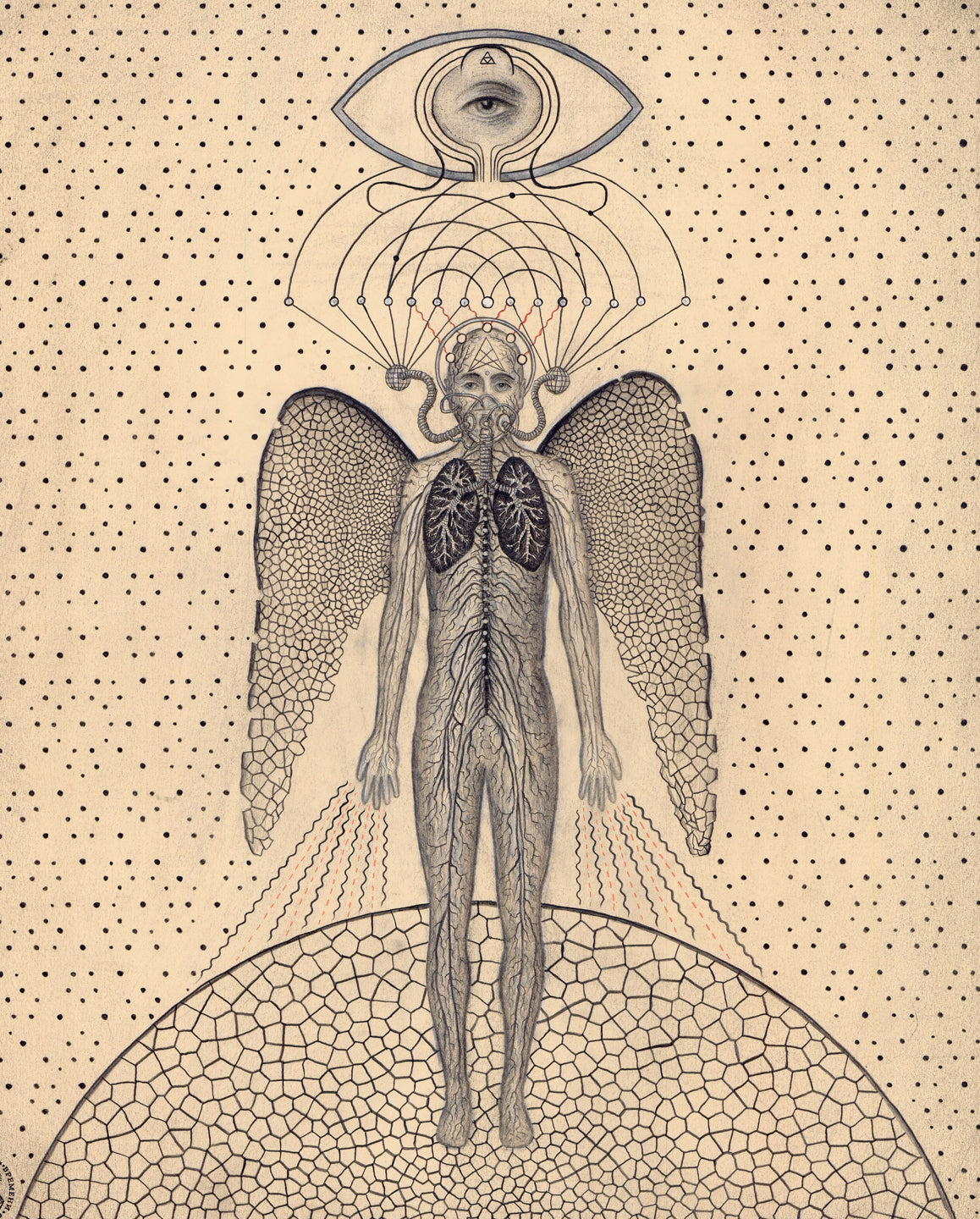 Transcendent Man, Archival Print – Daniel Martin Diaz